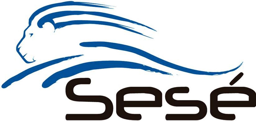 El Grupo Sesé recibe el premio SEAT a la innovación logística - Transporte Profesional